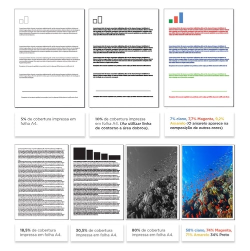 Yellou | 5% de área coberta, o que significa?